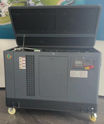China EE.UU. Silent 10kw 15kw 20kw motor de la EPA generador de gas natural de GLP GNL en venta
