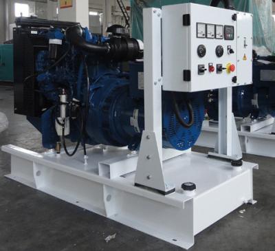 Chine générateur diesel sans brosse de 25kva Perkins avec le moteur 404D-22TG à vendre