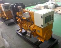 China Portable Natural Gas Powered Generator Water Cooled With Automatic Control Panel for sale