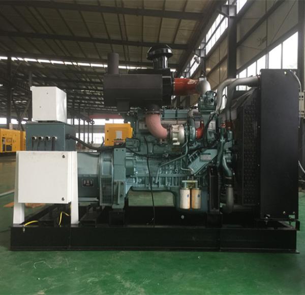 Natural Gas Powered Genset Diesel Generator electricity 200kva ECU Ignition system Spark plug
