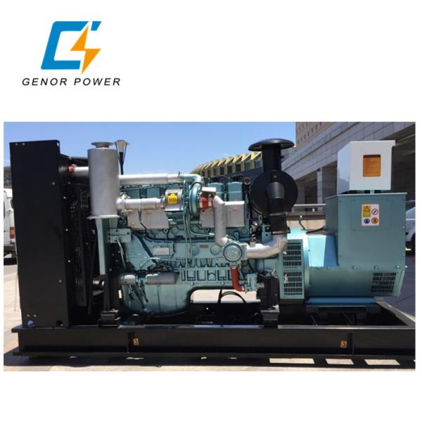Natural Gas Powered Genset Diesel Generator electricity 200kva ECU Ignition system Spark plug