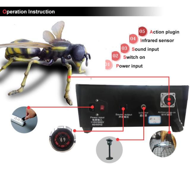 3D Realistic Insect Model - Interactive Display