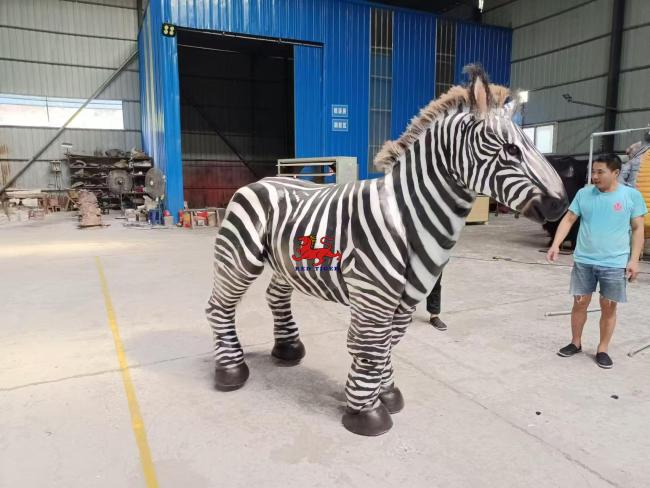 Zebra costume in use