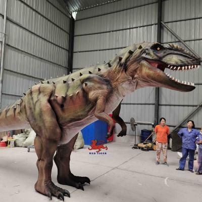 중국 개인화 현실적인 공룡 의상 Carcharodontosaurus 모델 판매용