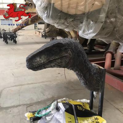 중국 고품질 현실적인 Animatronic 공룡 탈출 방 벽 마운트 장식 랩터 공룡 머리 판매용