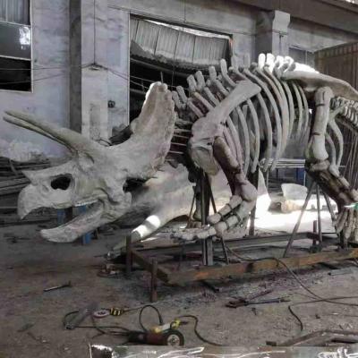 Cina Replica a grandezza naturale all'aperto/dell'interno del cranio del dinosauro, repliche fossili di dinosauro in vendita