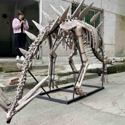 Cina Replica a grandezza naturale all'aperto/dell'interno del cranio del dinosauro, repliche fossili di dinosauro in vendita