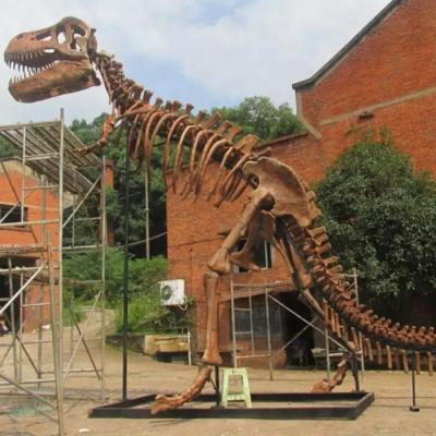 Cina Replica dello scheletro di dinosauro da interno, età giovanile, 12 mesi di garanzia in vendita