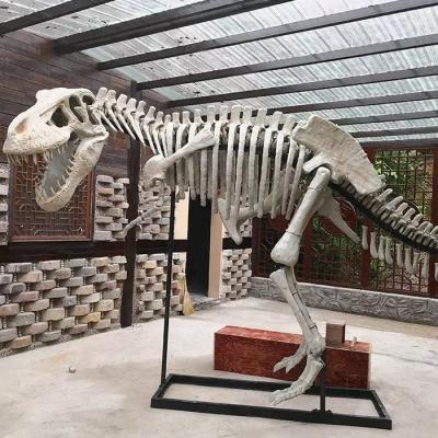 Cina Replica dello scheletro di dinosauro da interno, età giovanile, 12 mesi di garanzia in vendita