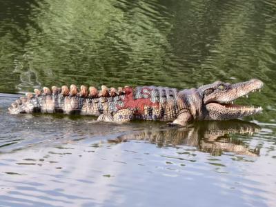 Cina Nuovo robot nuotante a controllo remoto realistico in vendita