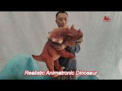 Waterproof T Rex Type Dinosaurs Life Size Jurassic Amusement Park Dinosaur