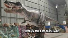 Realistic 12m Animatronic T Rex Dinosaur Model