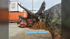 Double Person Triceratops Dinosaur Costume