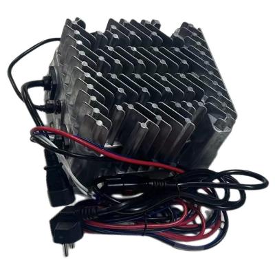 Cina Genie 105739 105739GT 24V 36A caricabatterie per il sollevamento delle forbici Genie in vendita