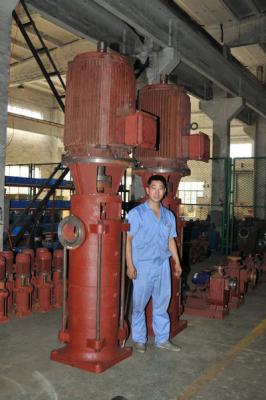中国 大きい2つの段階縦の多段式ポンプ産業インライン増圧ポンプ 販売のため