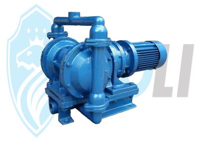 China Light Weight Electric Double Diaphragm Pump Horizontal With Reduction Gears for sale