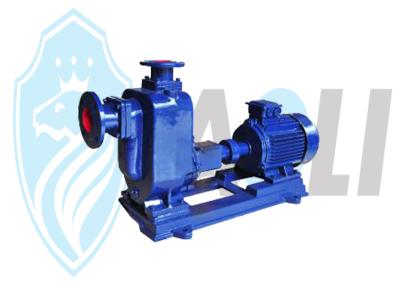 China Submersible Horizontal Self Priming Pumps Water Lifting For Agriculture Irrigation for sale