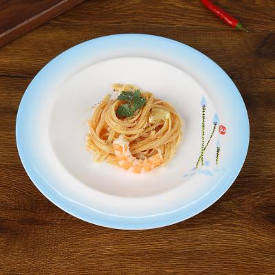 Cina Blue Melamine Dinner Plates With Pattern In Two Colors Dishware Safe Ceramic Finish in vendita