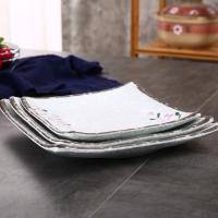 China Melamine Plates for Everyday Withstand Temperature -20C 120C Customization Available for sale