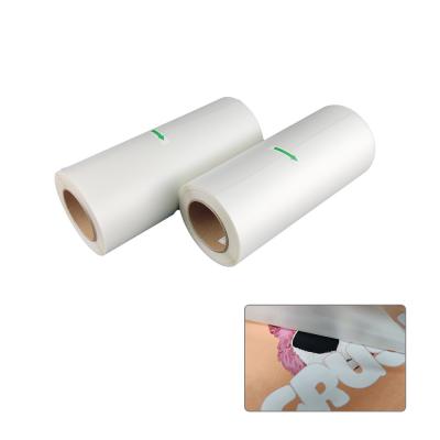 China Fabric Printing PET Heat Transfer Print DTF Roll 33cm 60cm for sale