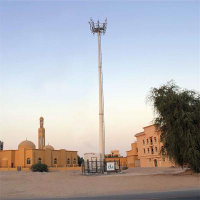 Cina Alto albero dei pali di illuminazione conici anticorrosivi dell'inondazione Q235 con il sistema di sollevamento in vendita