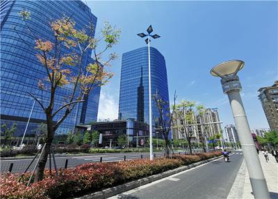 Cina Alto albero palo leggero di resistenza agli'agenti atmosferici per il giardino che accende H35m RAL dipinto in vendita