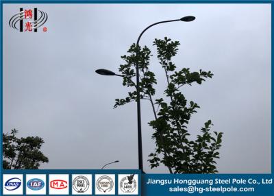 Cina Scelga/polvere di pali di iluminazione pubblica braccio RAL del doppio ricoperta di lampada del LED in vendita