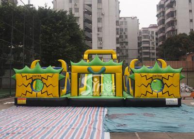 Cina Gli adulti N scherza il campo da giuoco gonfiabile del parco a tema gigante all'aperto con i grandi scorrevoli da vendere in vendita