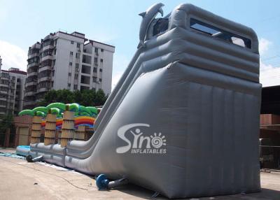 Cina 71' lungamente scherza l'acquascivolo gonfiabile commerciale tropicale con i grandi delfini del N2 dello stagno per uso all'aperto in vendita