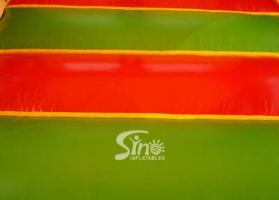 China Het Kasteel van waterbouncy met Dia en Pool/Basketbalhoepel voor Binnenplaats Te koop