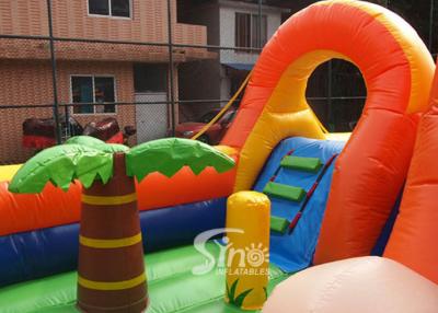 Cina il parco gonfiabile di divertimento dei grandi della giungla di 9x9m bambini all'aperto del leone con lo scorrevole per divertimento fa festa da cino Inflatables in vendita
