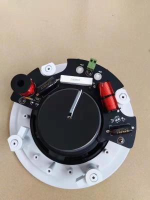 Cina Sistema di altoparlante a 6 pollici del soffitto di PA di 2*30w Wifi con un altoparlante attivo ed un passivo in vendita