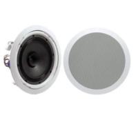 China Ceiling Speaker 6