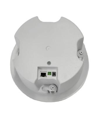 Cina Il IP Poe ha alimentato l'altoparlante del soffitto per il sistema di diffusione sonora in vendita