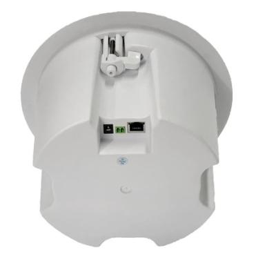 Cina Il IP Poe ha alimentato l'altoparlante del soffitto per il sistema di diffusione sonora in vendita