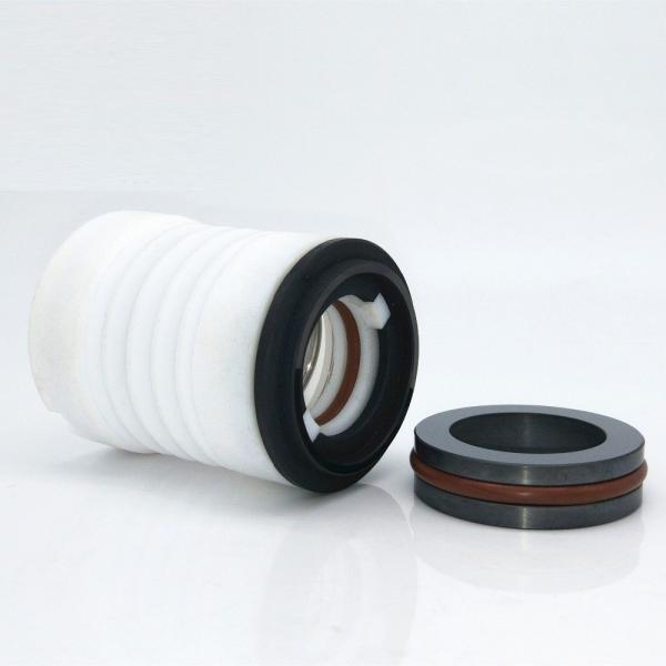 Mechanical Seals Wb3 25mm PTFE Bellows Double Sided Silicon Carbide Ceramics
