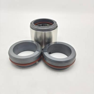 Cina Burgmann Double Seal H74D Multiple Spring Mechanical Seal per pompe idriche in vendita