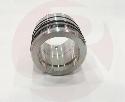 中国 カートリッジ メカニカルシール Netzsch Seal Uns-57 Netzsch 販売のため