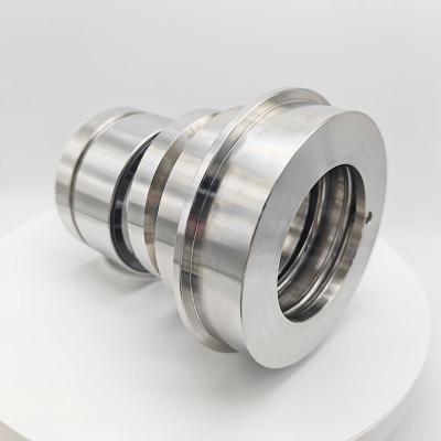 China Mechanical Seal TB1, TB1F & TB2 for Sulzer Process Pumps for Mixer SIC/SIC/PTFE/304 for sale