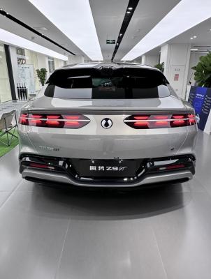 Cina Tengshi Z9GT 2024 630 quattro ruote a trazione massima edizione nuovo veicolo elettrico Yuehua Silver MPV in vendita