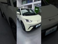 Byd Seagull 2025 405 vliegende versie van kleine familieauto nieuw energievoertuig