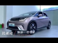 401 km BYD Dolphin Electric Hybrid Cars EV Sedans 2021