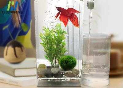 China Het transparante Glas van de Bril Hoge Borosilicate van de Vissentank Aangemaakte Veiligheid Te koop