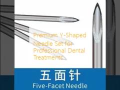 Premium Y-Shaped Needle Set for Professional Dental Treatments