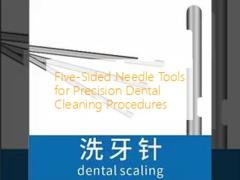 Five-Sided Needle Tools for Precision Dental Cleaning Procedures