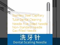 Stainless Steel Capillary Tube Dental Cleaning Needle Five-Sided Needle Non-Standard Needle Gas-Filled Needle.