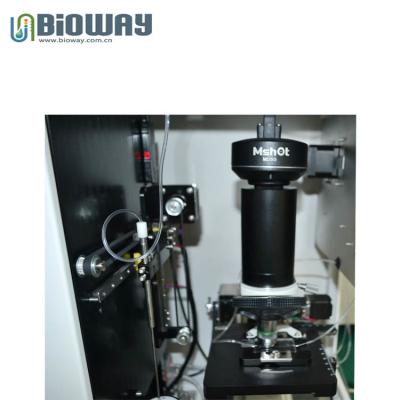 China Urine sediment analyzer, urine formed elements analyzer, BW-1000, full automatic, urinalysis workstation for sale