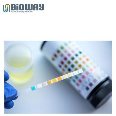 Bioway Urine strips for visual ,Reagent Strips glucose, ketone body,bilirubin,ascorbic acid, protein, nitrite, pH value