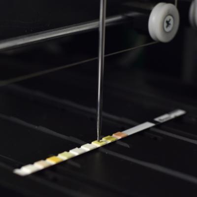 China Reagent Test Strip, 10,11,12,14 Parameters , glucose, ketone body, bilirubin, ascorbic acid, protein, nitrite, pH value for sale