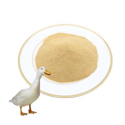 중국 말을 위한 25Kg/ 가방 살아있는 효소 가축 사료 첨가제는 건강하여서 장려됩니다 판매용